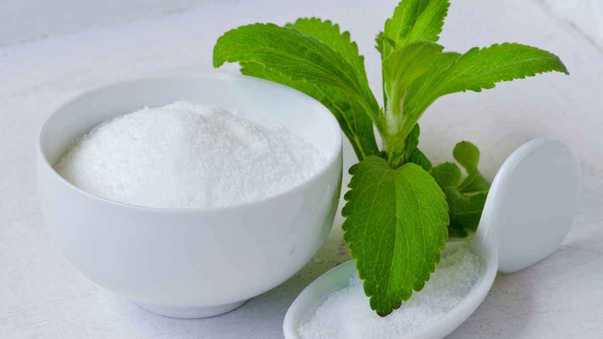 Onde e como usar o Adoçante Stevia