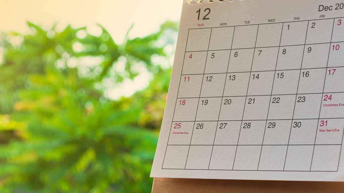 Datas Comemorativas de 2024: Lista Completa com Feriados Nacionais e Locais